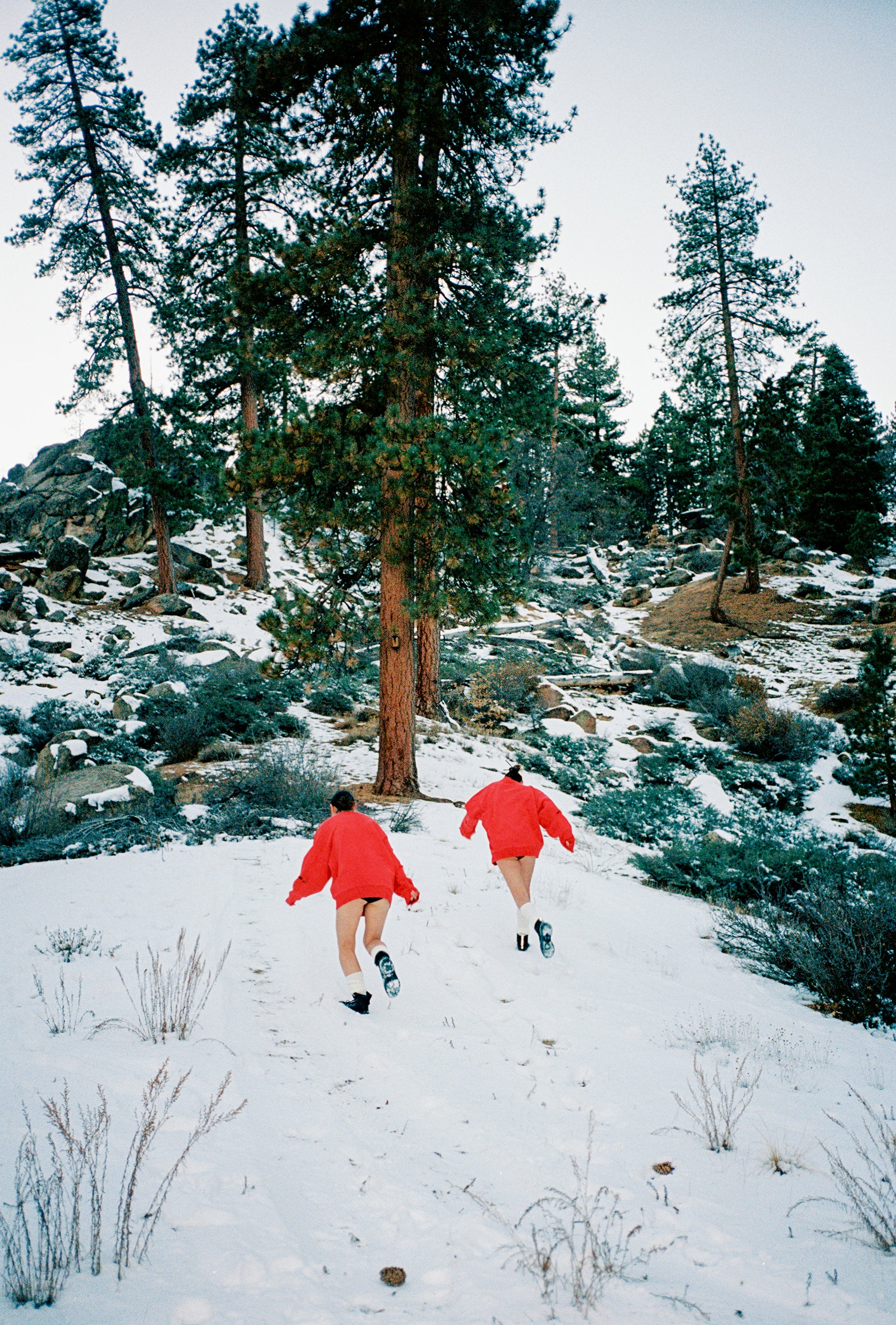 Los Angeles | Asian-Founded Brands & Independent Designers – LANG